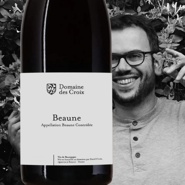 Domaine des Croix Beaune Rouge 2022 - WINE DECODED